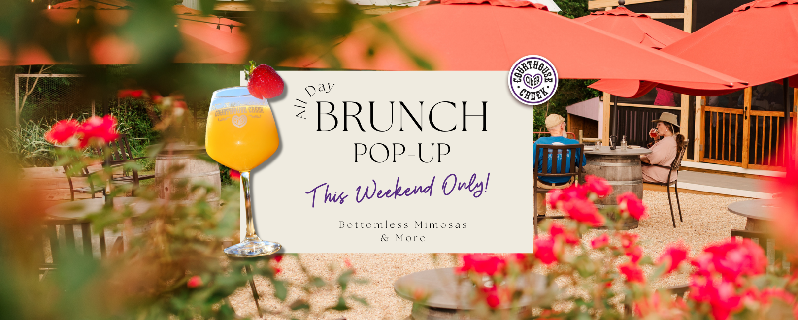 All Day Brunch Pop-Up | Courthouse Creek Cider